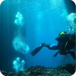 Diving Instructor Insurance | Dive Master Insurance